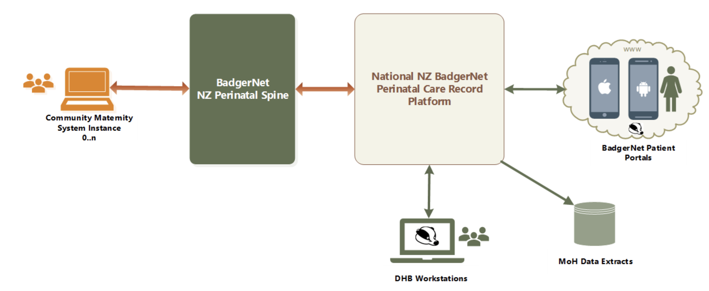 Spine Project - NZ Maternity